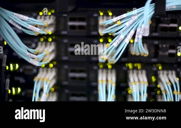 Fiber optic blue cable connect to ethernet switch mount on rack Stock ...