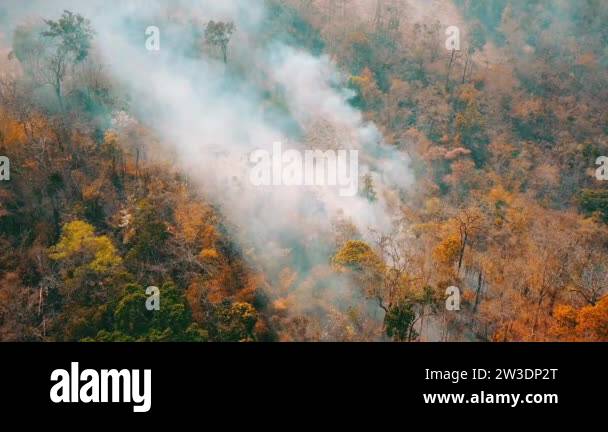 Smog of forest fires. Deforestation and Climate crisis. Toxic haze from ...