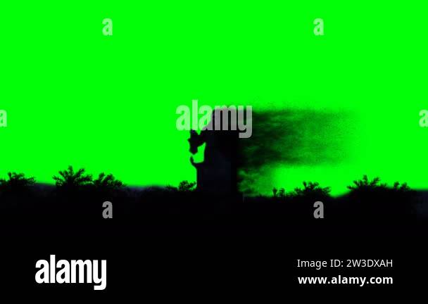Scary, fear ghost with dark particles. Realistic green screen 4k animation Stock Video Footage ...