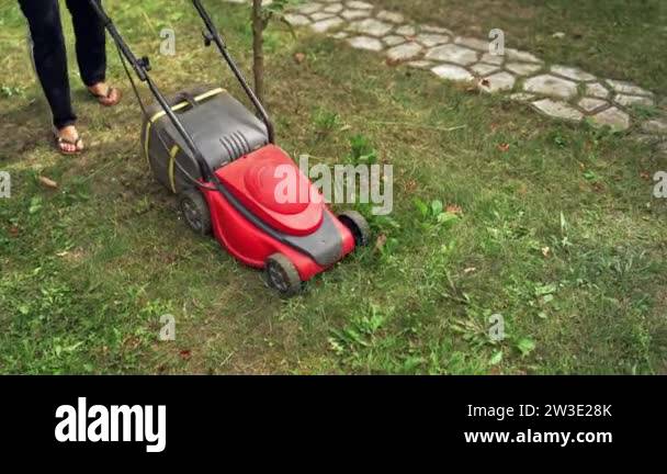 Woman is cutting lawn with grass mower. Gardener with electric lawn ...