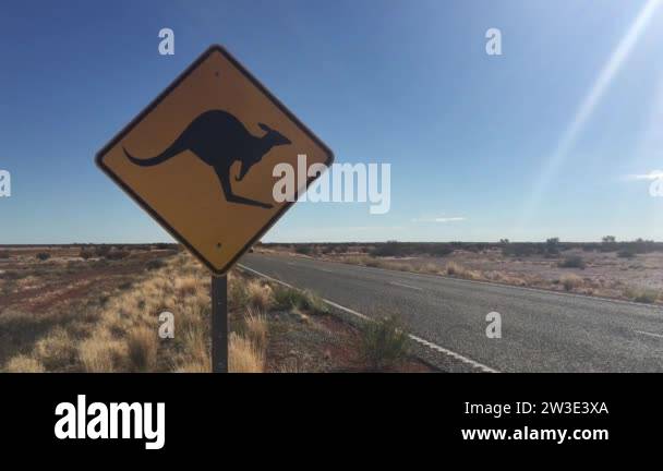 Kangaroo road safety Stock Videos & Footage - HD and 4K Video Clips - Alamy