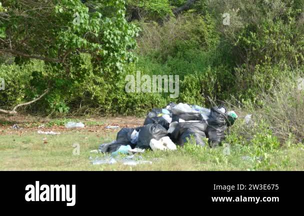 Sri lanka beach garbage Stock Videos & Footage - HD and 4K Video Clips ...