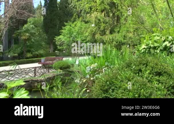 Panorama over the Japanese garden in the arboretum Stock Video Footage ...