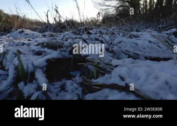 Scotland b Stock Videos & Footage - HD and 4K Video Clips - Alamy