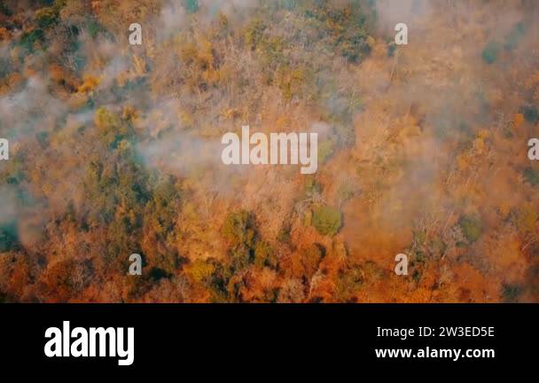 Smog of forest fires. Deforestation and Climate crisis in Asia. Toxic ...
