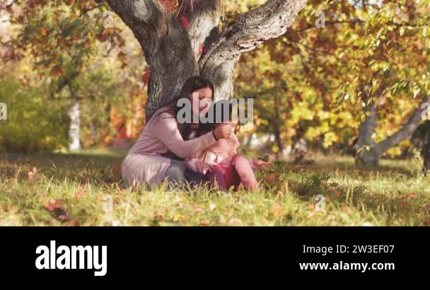 Biology processes Stock Videos & Footage - HD and 4K Video Clips - Alamy