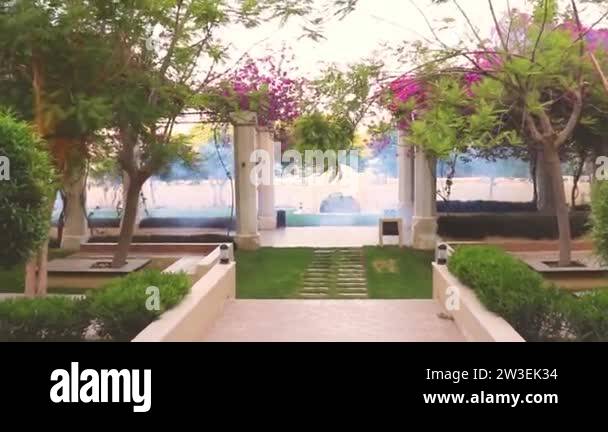 Fumigation of the garden. Destruction of parasites and harmful insects ...