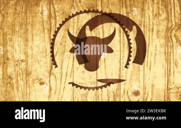 Cow head in butcher shop Stock Videos & Footage - HD and 4K Video Clips ...