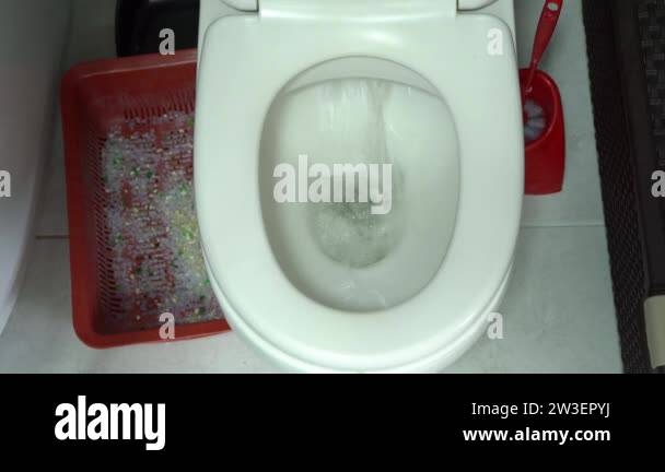 Human toilet Stock Videos & Footage - HD and 4K Video Clips - Alamy