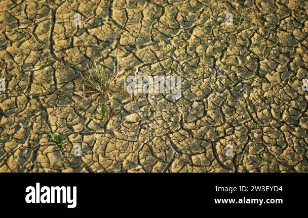 Drought cracked pond wetland, swamp very drying up the soil crust earth ...