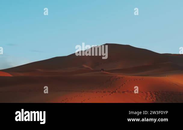 Golden sand and clear sky in Sahara desert. Sunset. Beautiful desert ...