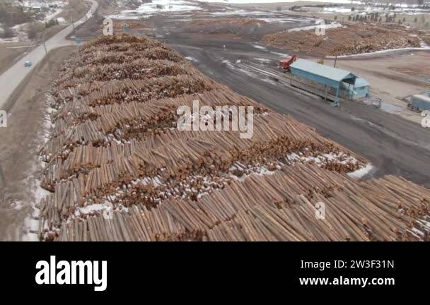 DRONE: Spectacular shot of large logs stacked into massive piles by a ...
