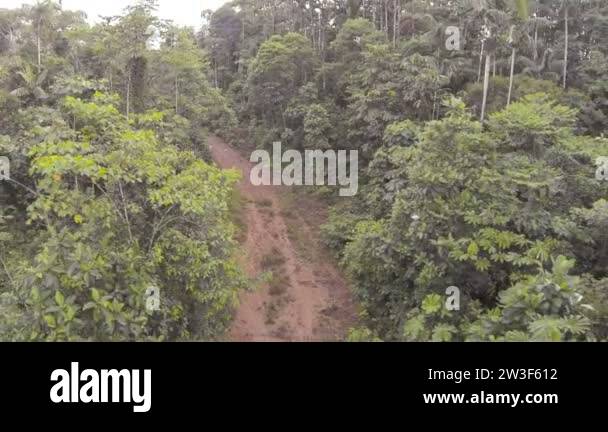 Sumaco ecuador Stock Videos & Footage - HD and 4K Video Clips - Alamy