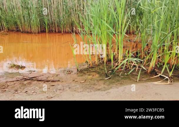 River water pollution concept. Riverside with dirty polluted water and ...