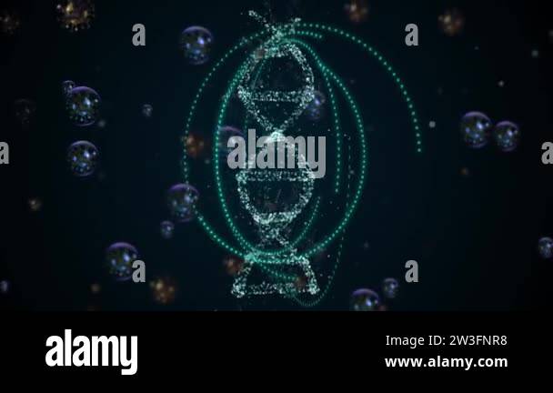 Immune genetic Stock Videos & Footage - HD and 4K Video Clips - Alamy