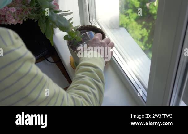 Man hand in yellow Stock Videos & Footage - HD and 4K Video Clips - Alamy