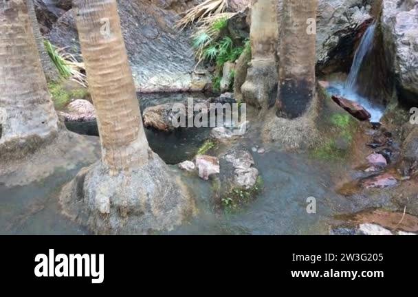 Thermal spring australia Stock Videos & Footage - HD and 4K Video Clips ...