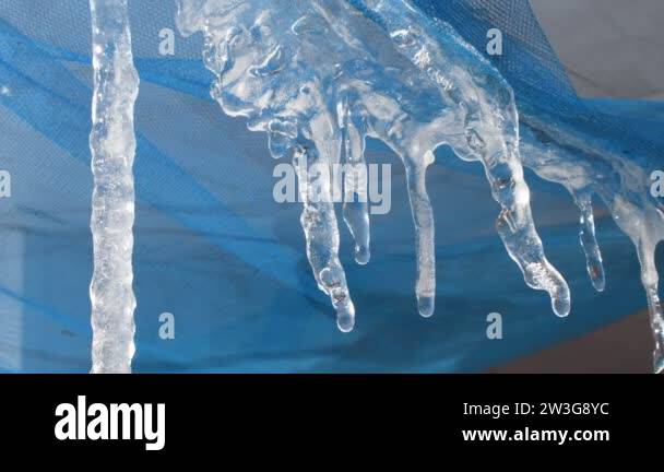 beautiful large icicles. the icicles are melting. Many beautiful ...