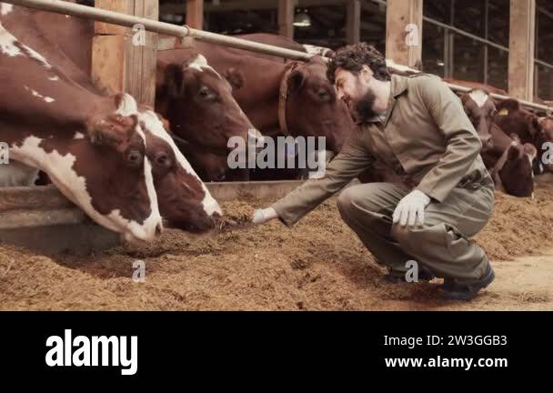 Full shot of male Caucasian farm worker sitting in squat by fencing ...