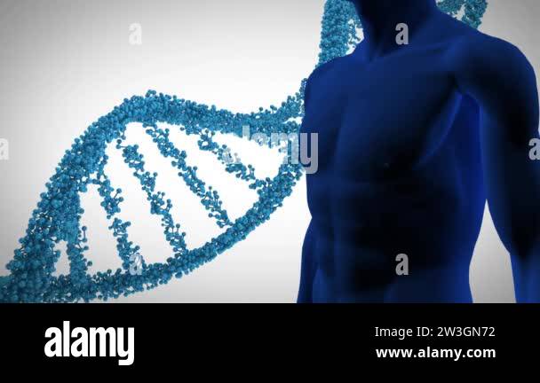 Chromosome 3d model genetics Stock Videos & Footage - HD and 4K Video ...