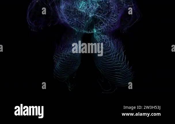 Freeform line Stock Videos & Footage - HD and 4K Video Clips - Alamy