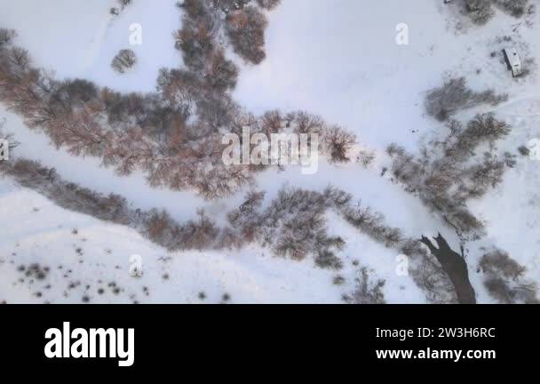 Wildlife in the outback Stock Videos & Footage - HD and 4K Video Clips ...