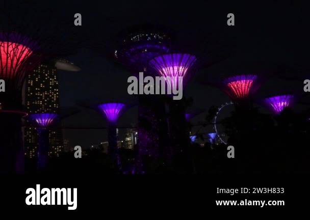 Supertree Grove light show at Gardens by the Bay in Singapore Stock ...