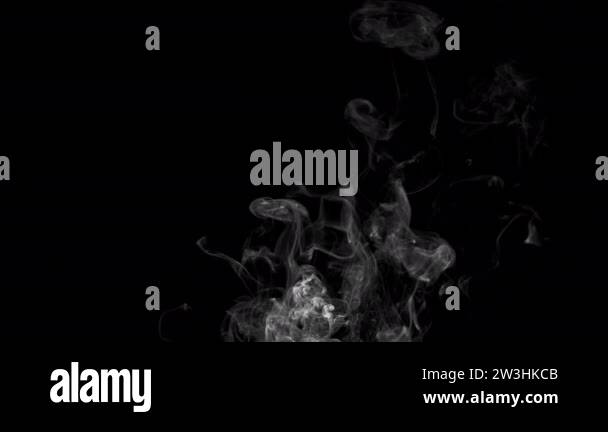 Realistic Smoke Clouds with alpha channel Dry Ice Smoke Storm ...