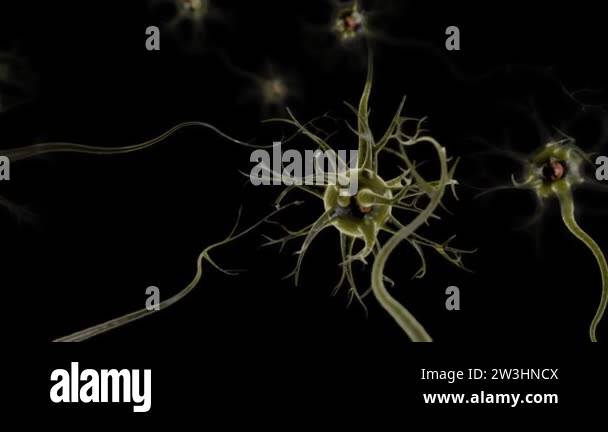 Neurons in the brain.Synapse and Neuron cells sending electrical ...