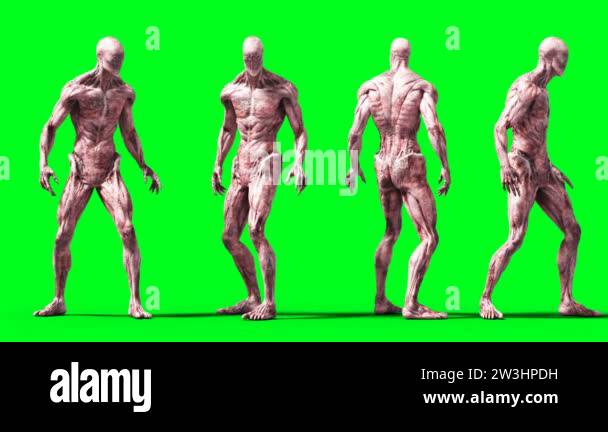 Scary monster animation. Phisical, motion, blur. Realistic 4k animation ...