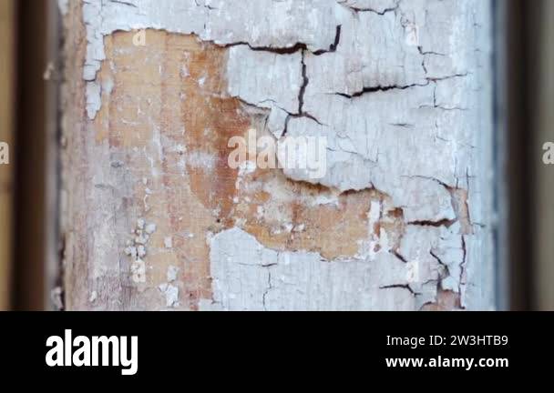 Concept of vandalism, damaged and destroyed building exterior by people ...