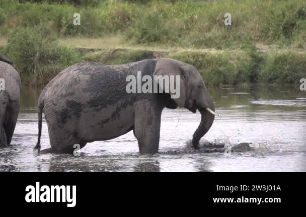 Cooling water pond Stock Videos & Footage - HD and 4K Video Clips - Alamy