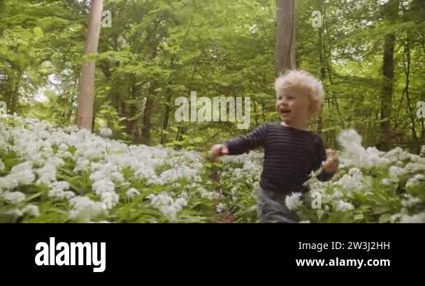 Laughing Boy with Chubby Cheeks in the Forest Woods Stock Video Footage ...