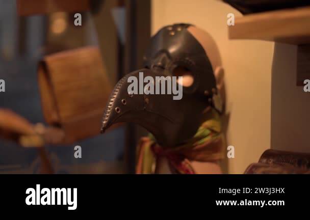 Beak and eye Stock Videos & Footage - HD and 4K Video Clips - Alamy