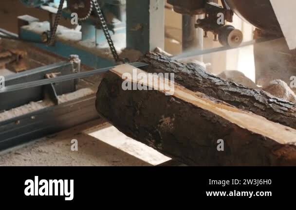 Closeup of cut pine tree log on sawing machine at wood production ...