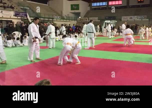 Judo kids Stock Videos & Footage - HD and 4K Video Clips - Alamy