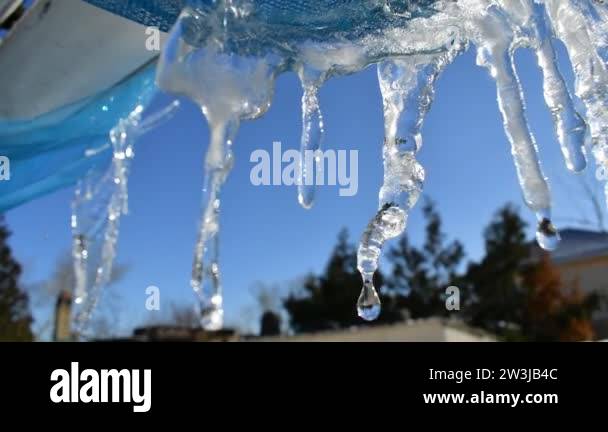 beautiful large icicles. the icicles are melting. Many beautiful ...