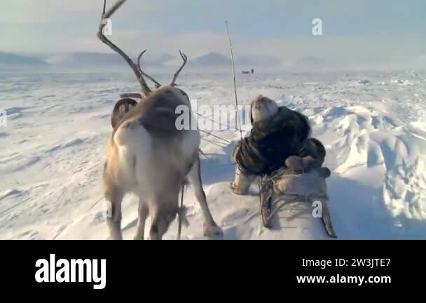 Koryak people Stock Videos & Footage - HD and 4K Video Clips - Alamy