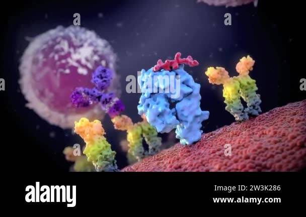 Animated alpha, high definition microbiology, cells and bacteria under ...