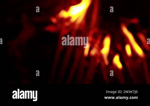 Coconut Leaf Fire flames on a black background. Blaze fire flame ...