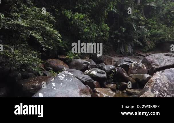 Cinematic shot of the waterfall inside the jungle at the Gunung Gading ...