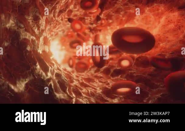 Red blood cells travelling through a blood vessel. Seamless loop 3d ...