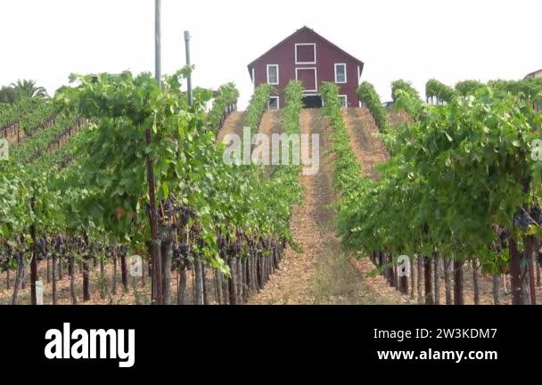 California red barn Stock Videos & Footage - HD and 4K Video Clips - Alamy
