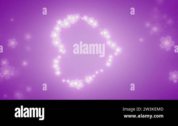 Purple status flowers Stock Videos & Footage - HD and 4K Video Clips ...