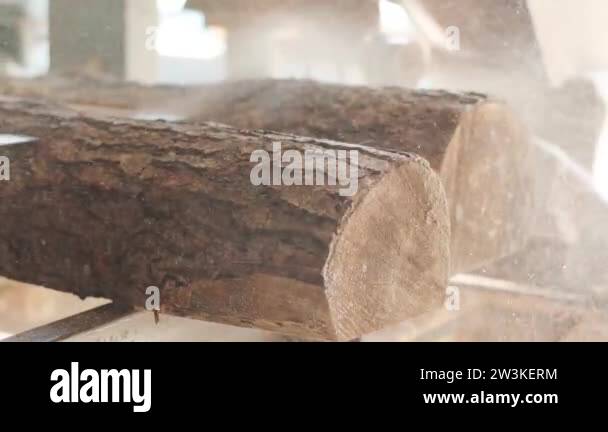 Sawing machine at wood production factory. Timber material processing ...