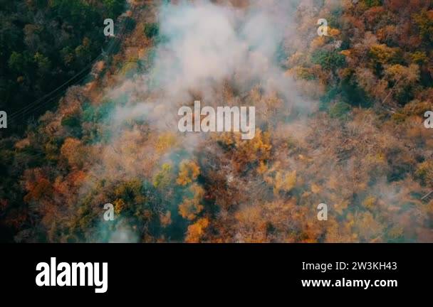 Smog of bushfire fires. Deforestation and Climate crisis. Toxic haze ...