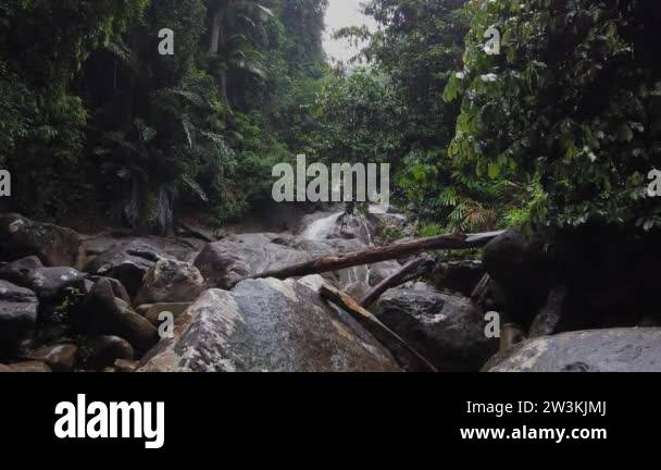 Cinematic shot of the waterfall inside the jungle at the Gunung Gading ...
