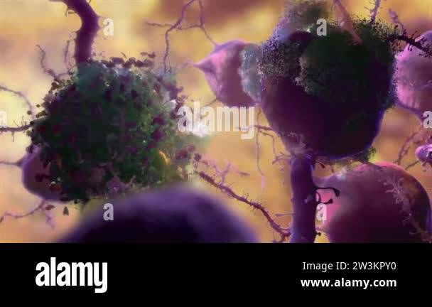 Bacteria Corynebacterium diphtheriae fight Gram-positive rod-shaped ...