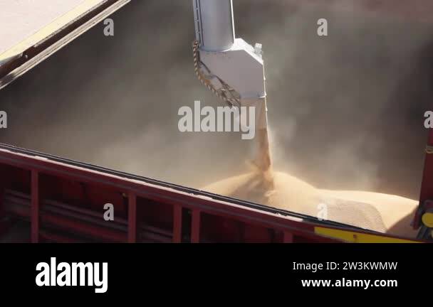 video how loading grain is done on a cargo ship for transportation by ...