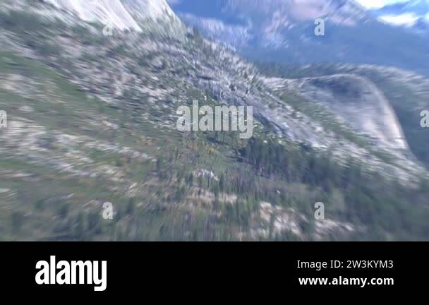 Death trees Stock Videos & Footage - HD and 4K Video Clips - Alamy